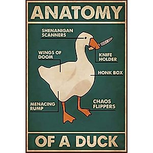 QWEQWEQ Duck Knowledge Metal Tin Sign Anatomy Of A Duck Funny Poster Hunting Lodge Cafe Restaurant Kitchen Living Room Bathroom Home Art Wall Decoration Plaque 8inch X 12inch