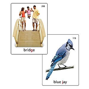 Super Duper Publications | Articulation Photos J Fun Deck Flash Cards | Educational Learning Resource for Children