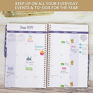 Bloom Daily Planners Newly Improved Classic Planner Sticker Sheets - Variety Sticker Pack for Decorating, Planning, Scrapbooking, etc. - 708 Stickers Per Pack!