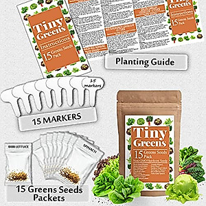 15 Heirloom Lettuce & Leafy Vegetable Seeds | 4000+ Seeds | Non GMO Seeds for Planting | Hydroponic Garden Seeds - Indoors or Outdoor