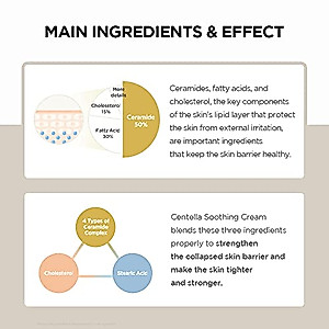 SKIN1004 Madagascar Centella Soothing Cream 2.53 fl.oz (75ml) | Quadruple Ceramide Complex | Strengthens Skin Barrier | Smooths Skin