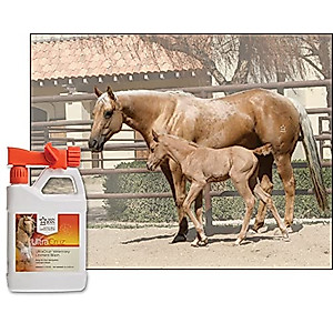 UltraCruz Veterinary Liniment Wash for Horses, 32 oz Travel Spray