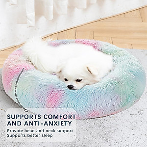 Cat Beds for Indoor Cats - Cat Bed Washable 24 inches, Dog Beds for Small Medium Dogs, Anti Anxiety Round Fluffy Plush Faux Fur Cat Bed, Thick Bottom (Rainbow, Large)