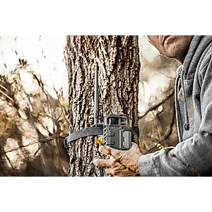 SPYPOINT 32GB Micro SD Memory Card trail for cameras | Adapter Media Storage for Trail and Game Cameras Designed | Used in Hunting and Trail Cams (Class 10 speed)