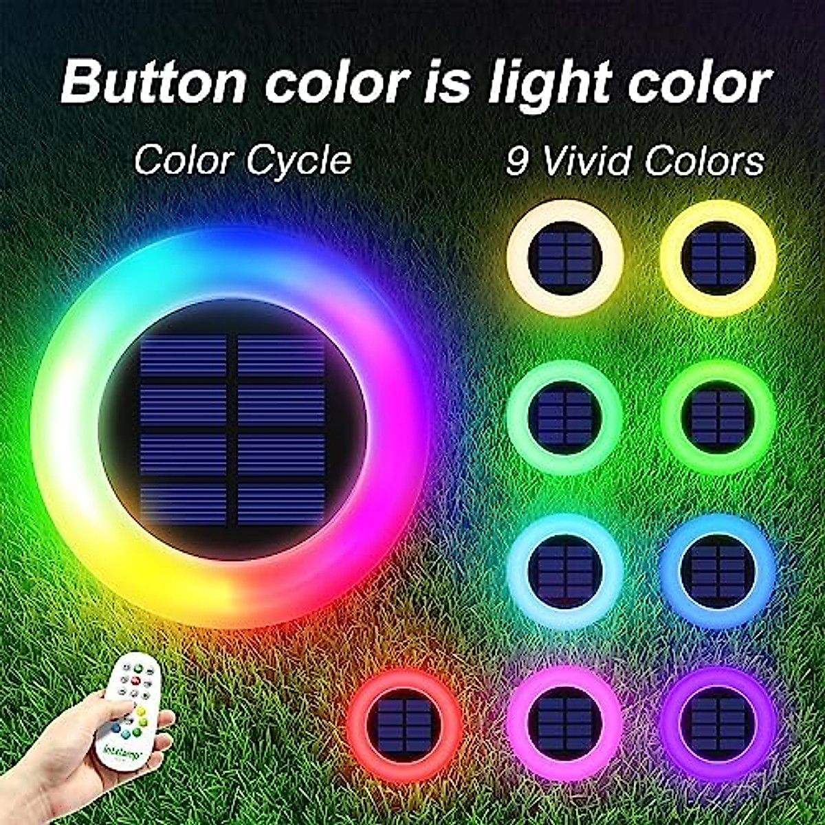 intelamp Colorful Solar Lights for Outside Solar Garden Lights (8)
