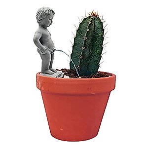NPW-USA Plant Life Pee My Plants, Garden Statue, Color-Stone