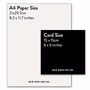 Old English Co. Hippo Hooray Birthday Card for Him or Her - Funny Birthday Card Animal Pun Design | For Brother, Son, Daughter, Sister, Friend | Blank Inside & Envelope Included