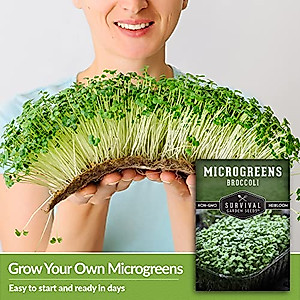 Survival Garden Seeds Broccoli Microgreens for Sprouting and Growing - Seed to Sprout Green Leafy Micro Vegetable Plants Indoors - Grow Your Own Mini Windowsill Garden - Non-GMO Heirloom Variety