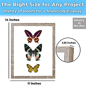 Super-Sturdy 11x14 Gray Shadow Box Frame With Glass 1pk . Large Rustic Wood Memory Box For Wedding Flowers, Jerseys, Pet Photos, Ticket Stubs or Medals
