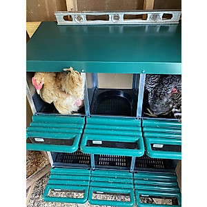 Homestead Essentials 3 Compartment Roll Out Nesting Box for Chickens | Heavy Duty Chicken Coop Nesting Box with Lid Cover to Protect Eggs (with Perch) | for Up to 15 Hens