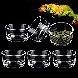 WEAVERBIRD 6Pcs Glass Reptile Feeder Food Bowl,Food Basin Tray Container Water Dish Cup, Reptile Terrarium Water Bowl,Round Water Dish Cup for Small Pet Lizard Turtle Spider Scorpion Frog Cricket