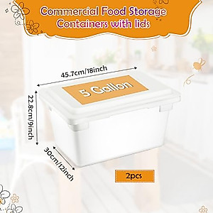 Barydat 2 Pack Food Storage Box Tote, Freezer and Dishwasher Safe Commercial Food Storage Containers Bins with Lids for Fruits Vegetables Grains Home Organization, White(5 Gallon)