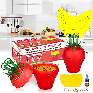 Fruit Fly Trap for Indoors,Effective Fruit Fly Killer Catcher Gnat Trap with Yellow Sticky Pads,Odorless Reusable Fly Catcher Gnat Fruit Flies Trap Fly Insect Trap for Plant House Kitchen (2 Pack)