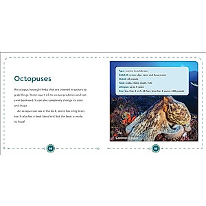 My First Book of Ocean Animals: All About Marine Wildlife for Kids