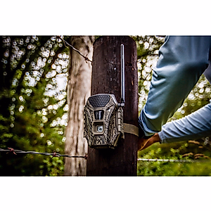 Wildgame Innovations WGI-TERACC: Terra Xt Cellular Camera / 24Mp