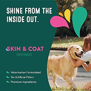 Happy Go Healthy Daily Wellness + Skin & Coat Bundle Supplements for Dogs - Probiotic & Prebiotic Benefits with Omega-3s | 2 x 21 Count Bags