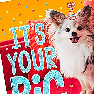 Hallmark Birthday Cards Assortment, 20 Cards with Envelopes (Refill Pack for Hallmark Card Organizer Box)