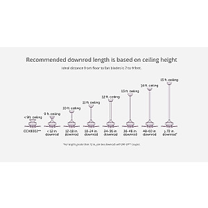 Fanimation Kute Indoor/Outdoor Ceiling Fan with Dark Walnut Blades 44 inch - Dark Bronze