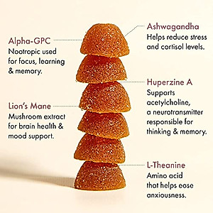 Winged Rise Up Gummies | Energy & Brain Boost Supplement | Natural Caffeine, Ashwagandha & B12 for Energy | Nootropics Alpha-GPC, Lion’s Mane & Huperzine A for Focus | Pineapple Flavor (30 Servings)