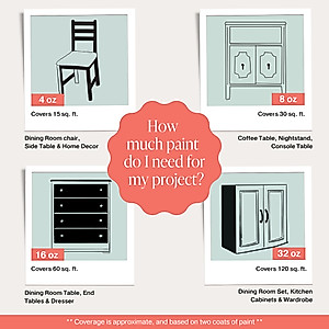 Country Chic Paint - Chalk Style All-in-One Paint for Furniture, Home Decor, Cabinets, Crafts, Eco-Friendly, Matte Paint - Simplicity [White] Half Pint 8oz