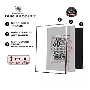 Framed Rose Gold 60th Birthday Decorations Sign Poster for Girl - 60 Birthday Gift 12"x16" Guest Party Favors Book Alternative – With Pen & Wall Hanger – Great 60 Years Old Gifts for Womens