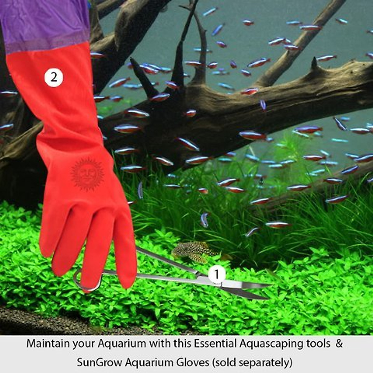 SunGrow Aquarium, Hermit Crab & Gecko Tank Tool Kit, Includes Straight ...