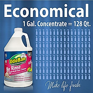 OdoBan Pet Solutions Oxy Stain Remover, 32 Ounce Spray, Neutral pH Floor Cleaner Concentrate, 1 Gallon, and 120 Dog Waste Pickup Bags