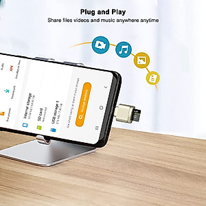 Type C TF Card/Memory Card Reader Adapter with Keychain, Leizhan USB C to Micro SD SDHC SDXC OTG Reader, Compatible for Mac Windows Lixus Samsung Galaxy Note 20 S20