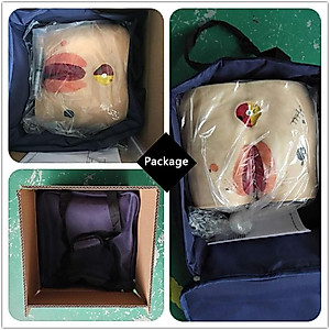 Human Wound Care Model Bedsore Nursing Human Model Pressure Ulcers Manikin Teaching Human Simulator for Nursing Teaching