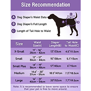 MICOOYO Disposable Dog Diapers Female, Doggie Diapers for Dogs Female, Super Absorbent Pet Diapers Foam Tail Hole Female Dog Diapers for Heat, Comfortable Puppy Diapers (Small Plus, 50Count)