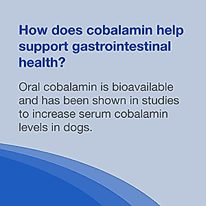 Nutramax Cobalequin B12 Supplement for Medium to Large Dogs, 45 Chewable Tablets, Hydrolyzed Chicken, 2.08 ounces