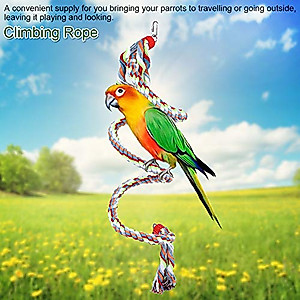 1.6 Meter Parrots Bungee Swing Spiral Climbing Standing Toys with Bell Rope Cotton Perch Birds Supplies for Large Medium Small Parrots