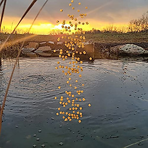 HALF OFF PONDS Show and Grow Koi and Goldfish Color Enhancing and Protein Food 50 lb Bag - KOISG-050