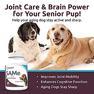 K9 Select SAM-e for Dogs: 225mg, 60 Tablets Active S-Adenosyl-L-Methionine Liver Supplement - Cognitive and Joint Health Nutrition for Medium and Large Dogs - Same Dog Liver Nutritional Supplement