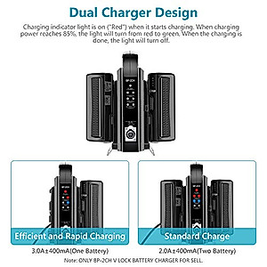 Neewer BP-2CH Dual Channel V-Mount/V Lock Battery Charger with DC 16.5V Power Supply Output Compatible with Any V-Mount Battery (XLR Cable/Battery Not Included)