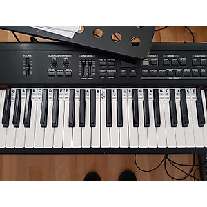 The Piano Rake (Piano Guide) | Learn Notes Instantly | Ultimate Accessory | Better Than Messy Stickers | Fits All Full-Size Key Pianos & Keyboards | 35 Key Length Shows Grand Stave