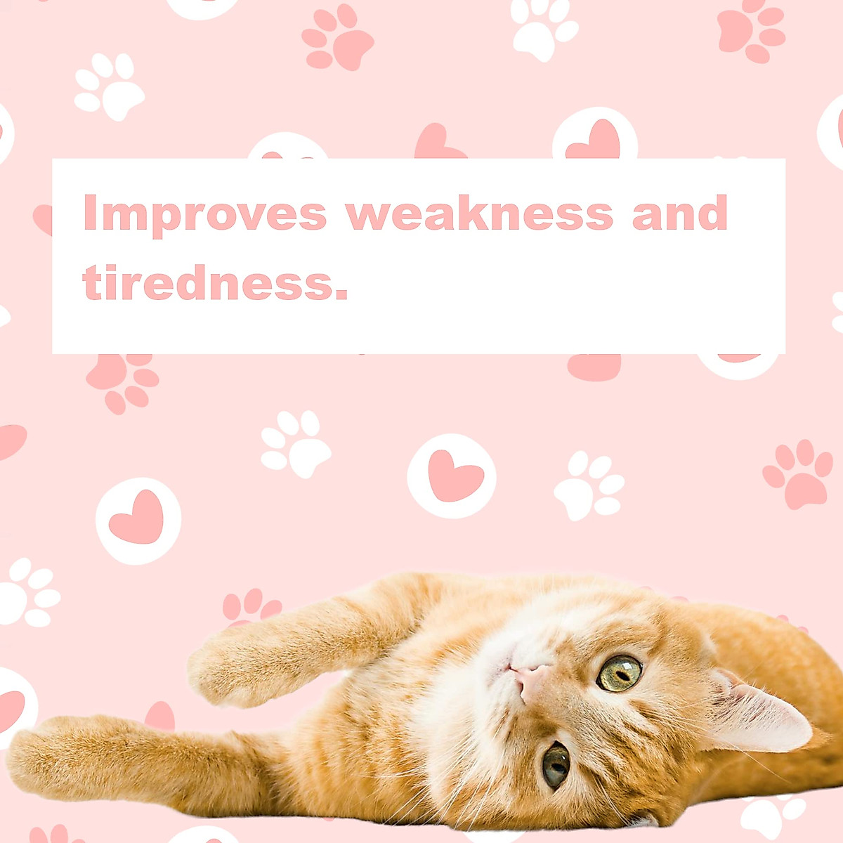 LifeLink's Zobaline for Cats 3mg x 60 Tablets