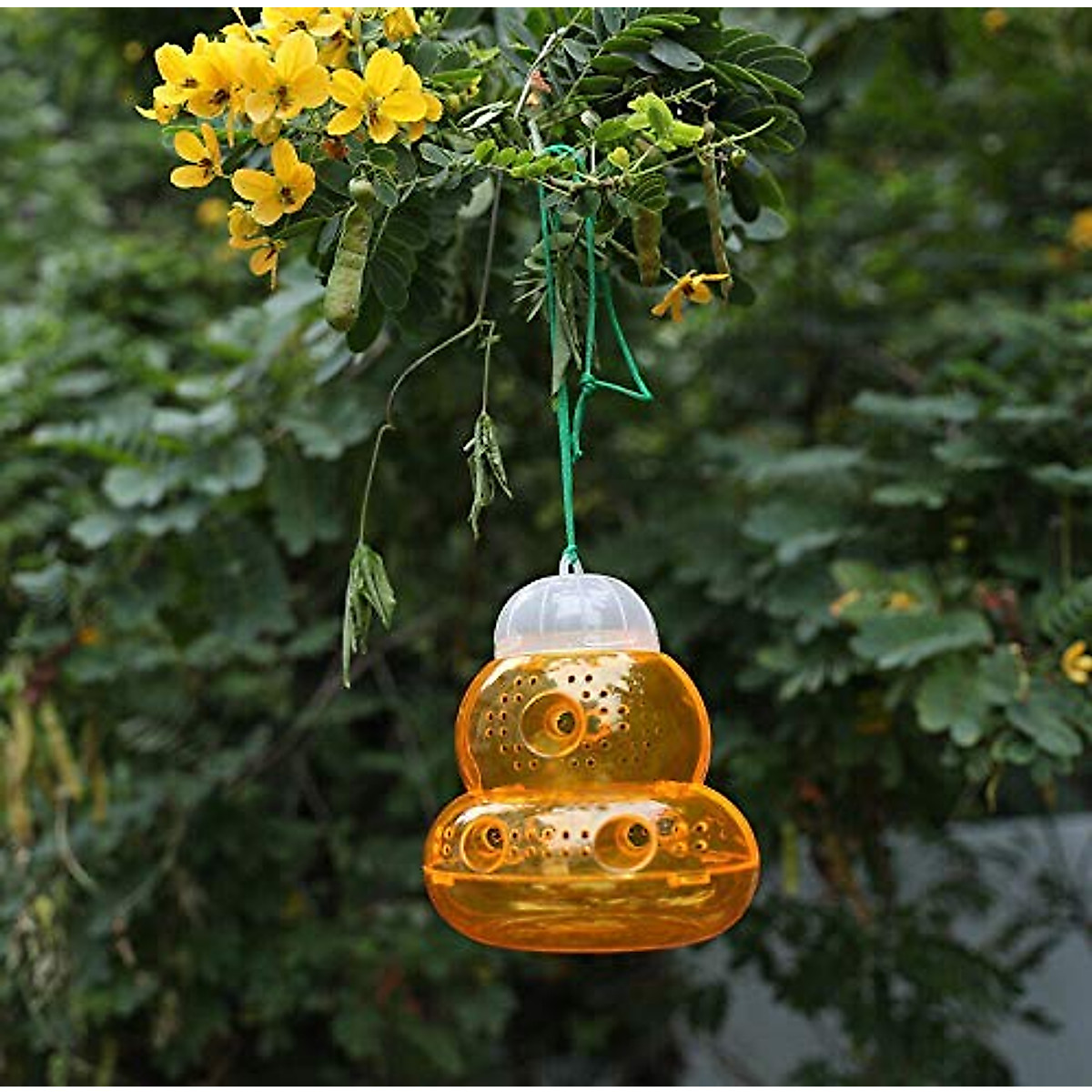 Wasp Trap Bee Traps Jar | Hornet Trap Yellow Jacket Trap Attracts Hornets Yellow Jackets Bees Wasps | Trap & Bee Catchers for Outside | Plastic Wasp Trap for Outdoors Catcher | 2pcs Beehive Wasp Trap