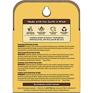 Burt's Bees Lip Balm Easter Basket Stuffers, Moisturizing Lip Care, Festive Fix Set - Peppermint, Salted Caramel, Cranberry Spritz & Shortbread Cookie (4 Pack)