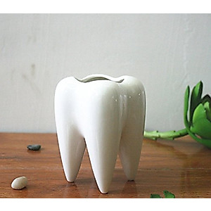 MONMOB Ceramic Tooth Shaped Pen Pencil Toothbrush Holder Pot Succulent Plant Pot Home Office School Dentists Gift (3.9")