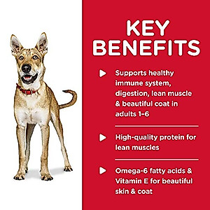 Hill's Science Diet Wet Dog Food, Adult 1-6, Chicken & Barley Entrée, 13 oz. Cans, 12-Pack