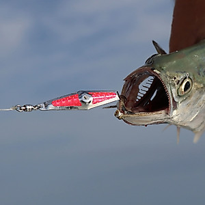 CLARKSPOON Spoon-Squid Precision Fishing Spoon for Spanish Mackerel, Bluefish, Tuna, Atlantic Bonito, & More! - Size 0 Spoon-Squid w/Ball Bearing Swivel - 5 Pack Assortment