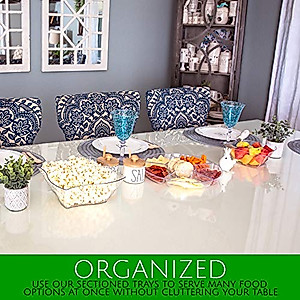 PLASTICPRO 6 Sectional Round Plastic Serving Tray/Platters Clear Pack of 2