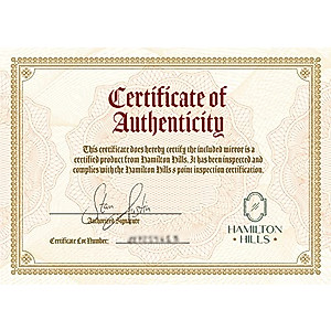 Hamilton Hills 22x30 Inch Brushed Black Metal Framed Mirror | Pivot Mirrors for Bathrooms | Rounded Corner Rectangular Frame with Tilt Mirror Brackets | Adjustable & Tilting Farmhouse Wall Vanity