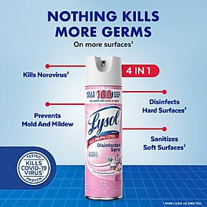 Lysol Disinfectant Spray, Sanitizing and Antibacterial Spray, For Disinfecting and Deodorizing, Early Morning Breeze, 19 Fl Oz, (Packaging May Vary)