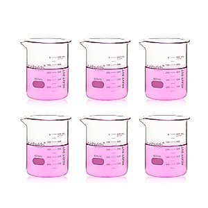 Labvida 6pcs 600ml Upgrated Thick Glass Beakers, Griffin Low Form Beaker Set with Double Scale, 3.3 Boro, LVA030