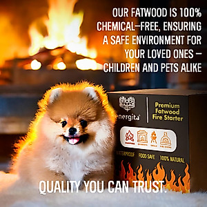 ENERGITA Premium Fatwood Fire Starter Sticks |100% All Natural 125 Sticks | FireStarters for firepits | Weather Proof FatWood Kindling Fire Starters | Safe and Easy to use, 10lb Box