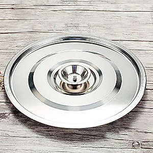 DOITOOL Garden Planters Stainless Steel Trash Can Small Recycle Trash Can Wastebasket Garbage Container Bin Milk Bucket with Handle Lid for Bathroom Kitchen Home Office Ice Bucket Pails