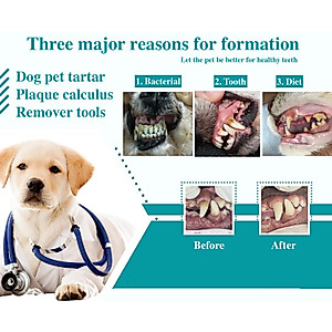 Qubccum 8 Pcs Dog Tartar Remover Pet Teeth Cleaning Tool, Cat Plaque Off Calculus Remover, Dog Tooth Scaler and Scraper, Stainless Steel Dental Forceps for Dogs and Cats Oral Care