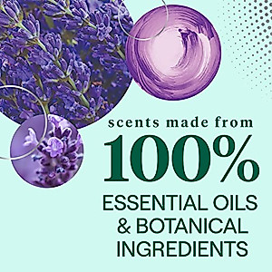 Seventh Generation Dish Soap Liquid Lavender Flower & Mint Scent Pack of 6 Dishwashing Soap Dish Detergent Liquid Soap 19 oz